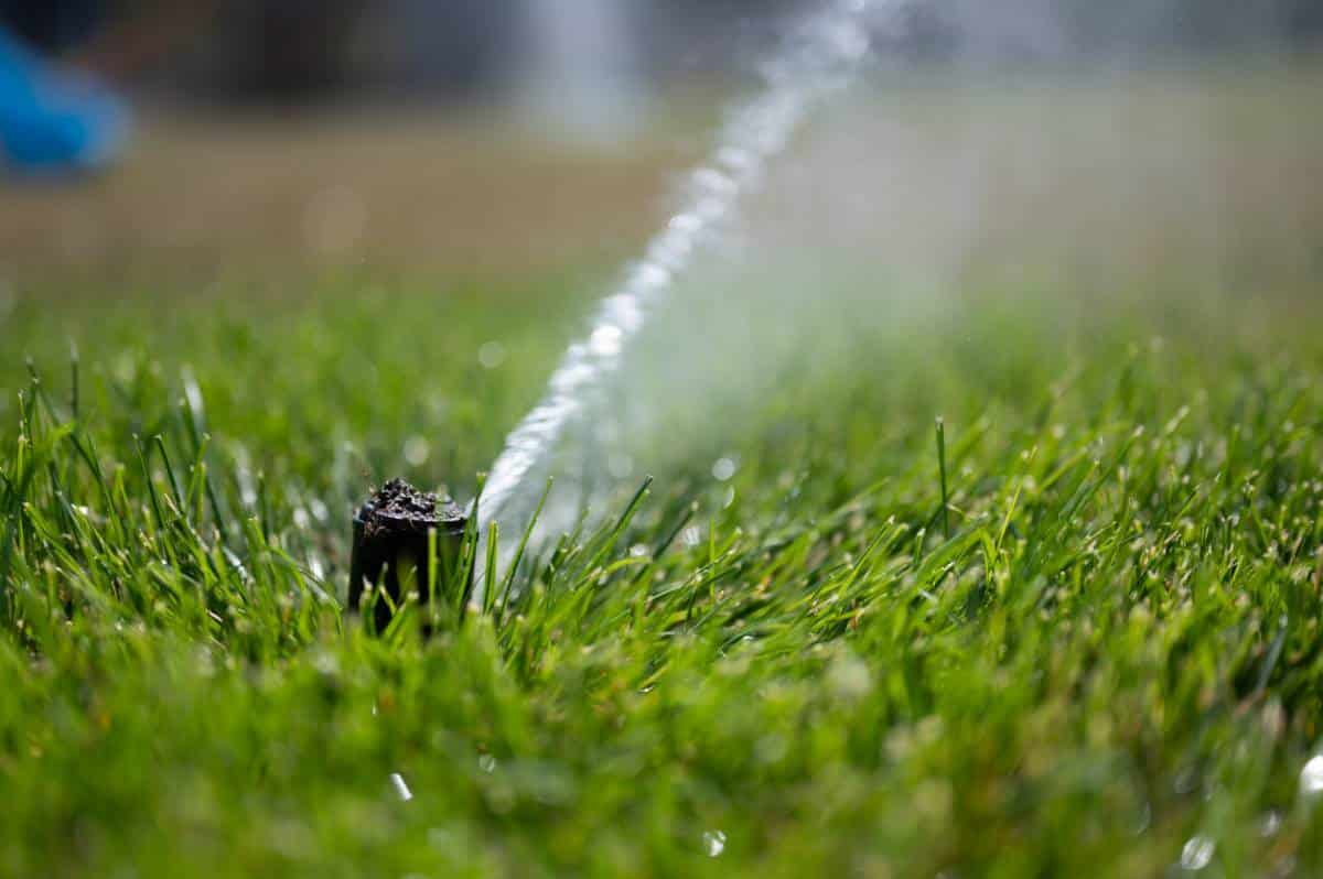 Arrosage automatique : quel programmateur choisir ? - Conseil Jardinage Arrosage automatique : quel programmateur choisir ? - Conseil Jardinage